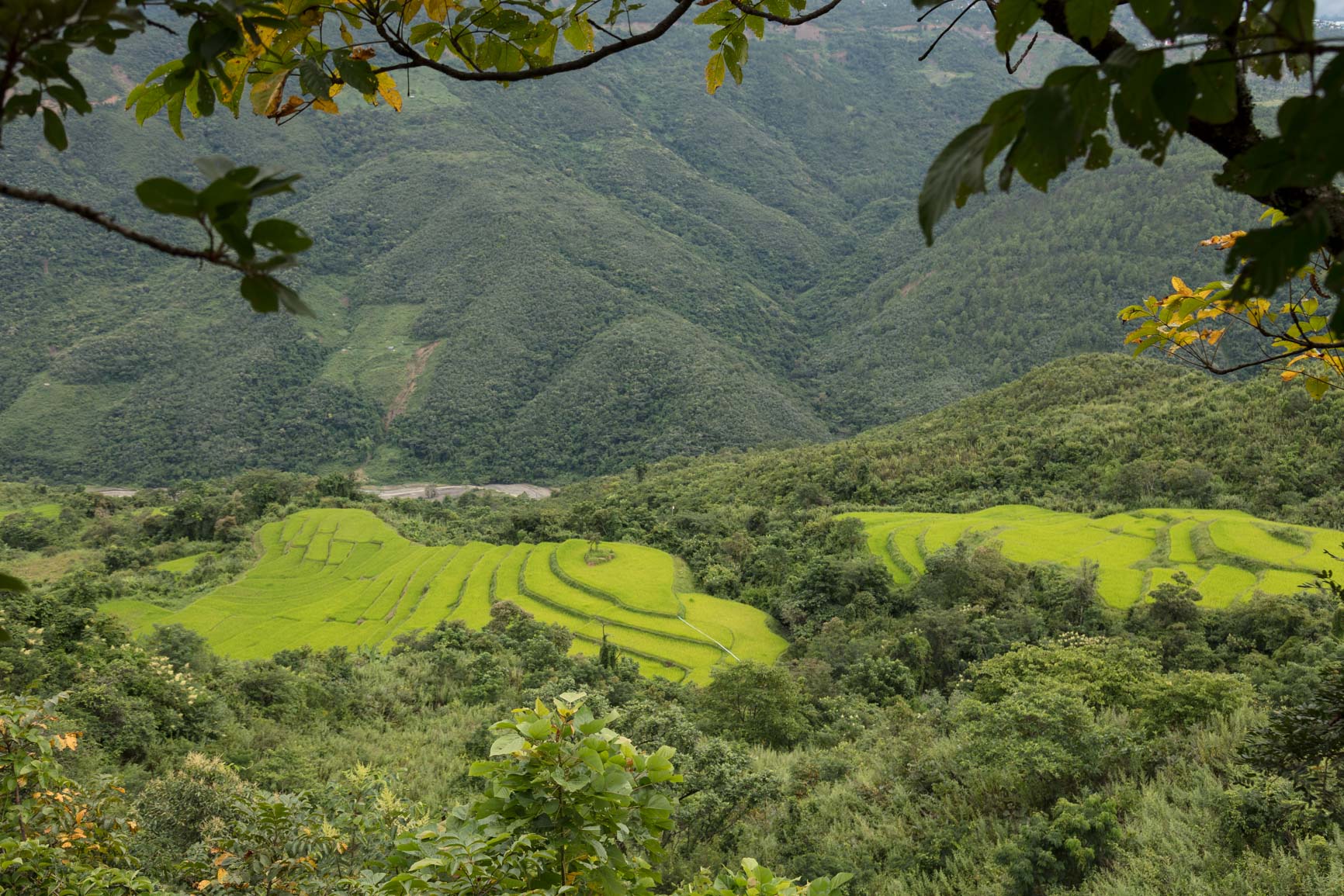 Resilient Mountain Solutions in Myanmar » Myanmar Institute for ...