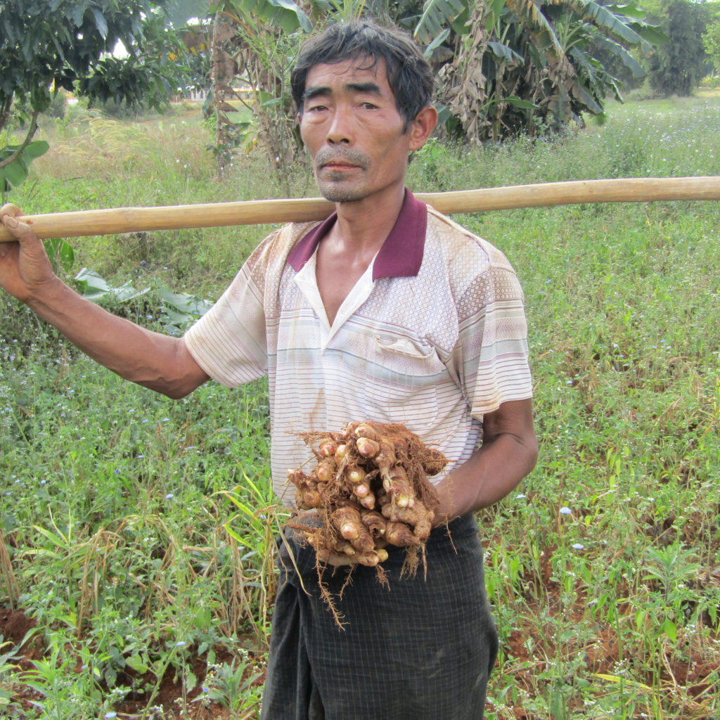 MIID succes story U Tun Mg 2 » Myanmar Institute for Integrated Development